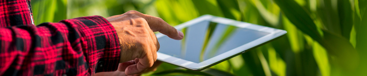 INICIO - Agrovit | Cultivos Orgánicos y Convencionales